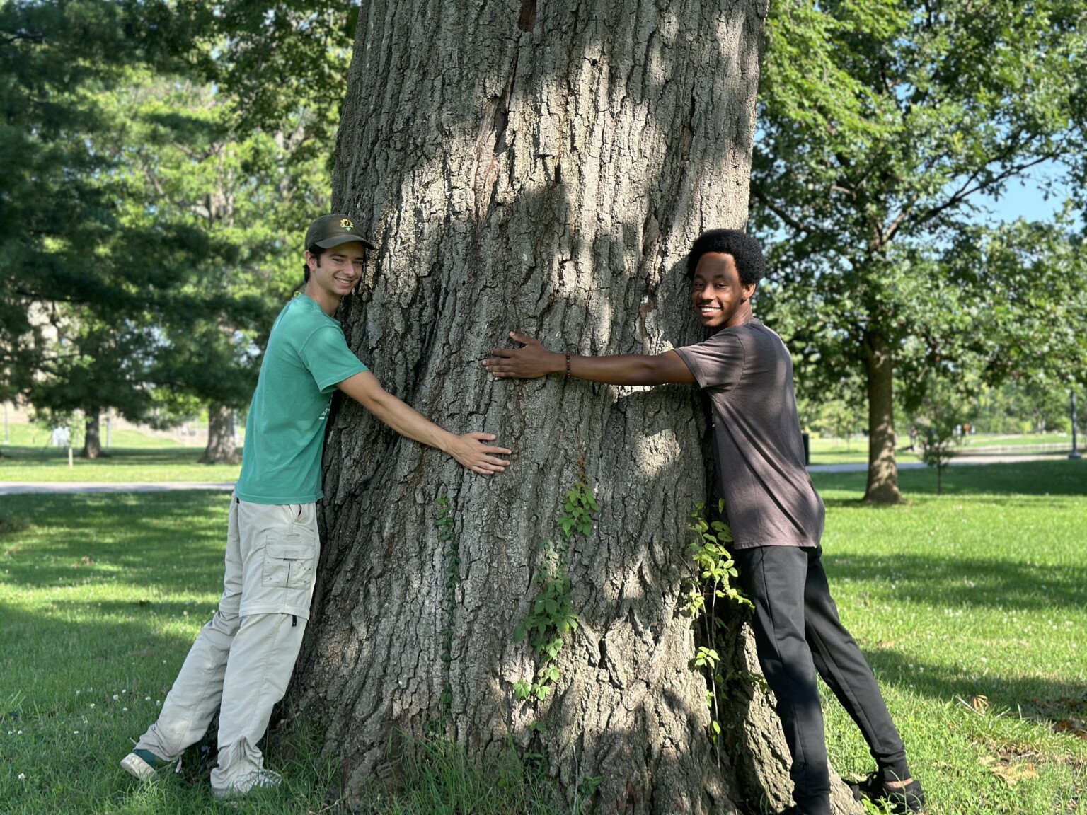 Nashville Tree Foundation - Nashville Tree Foundation