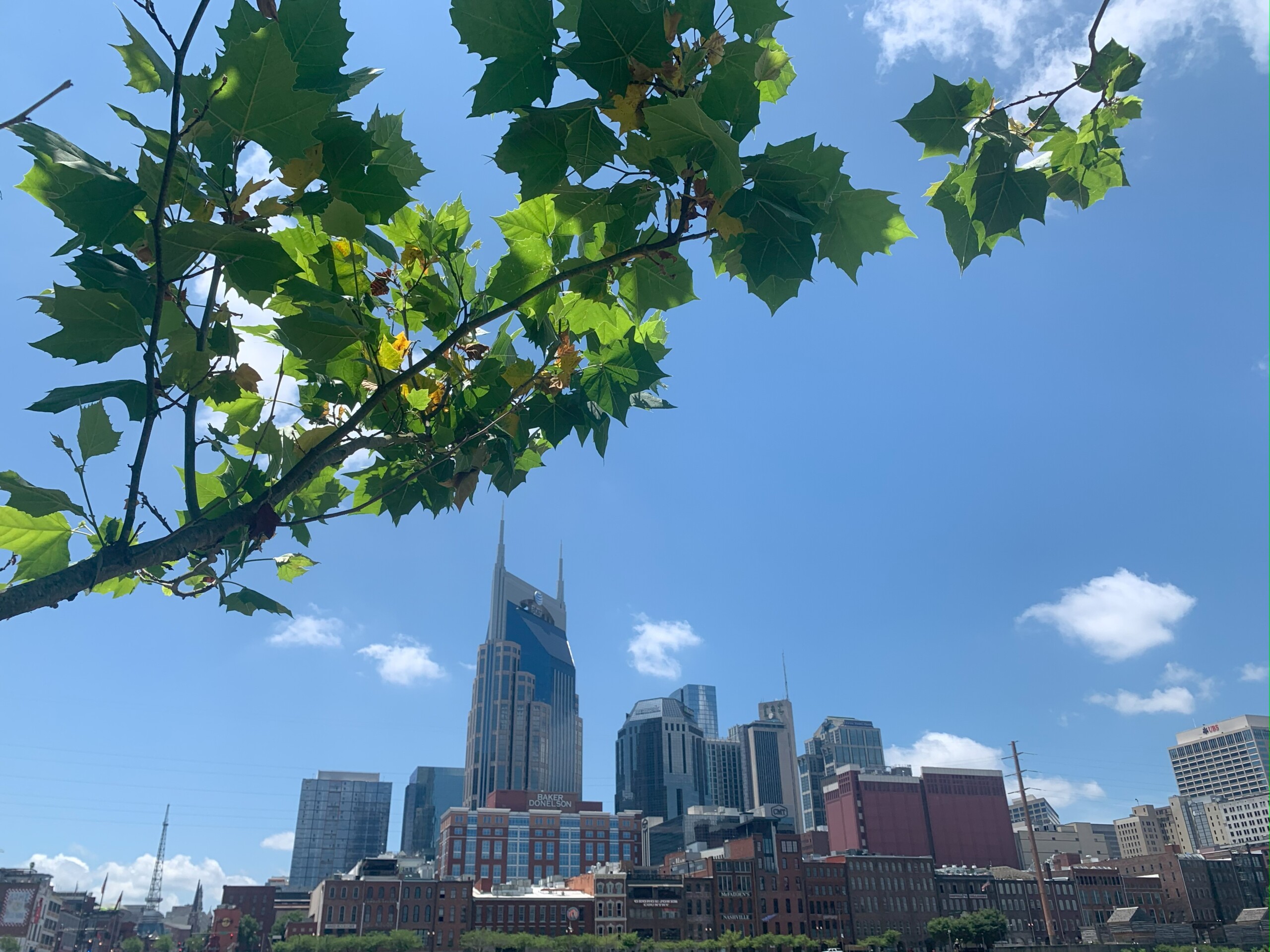 Our People - Nashville Tree Foundation