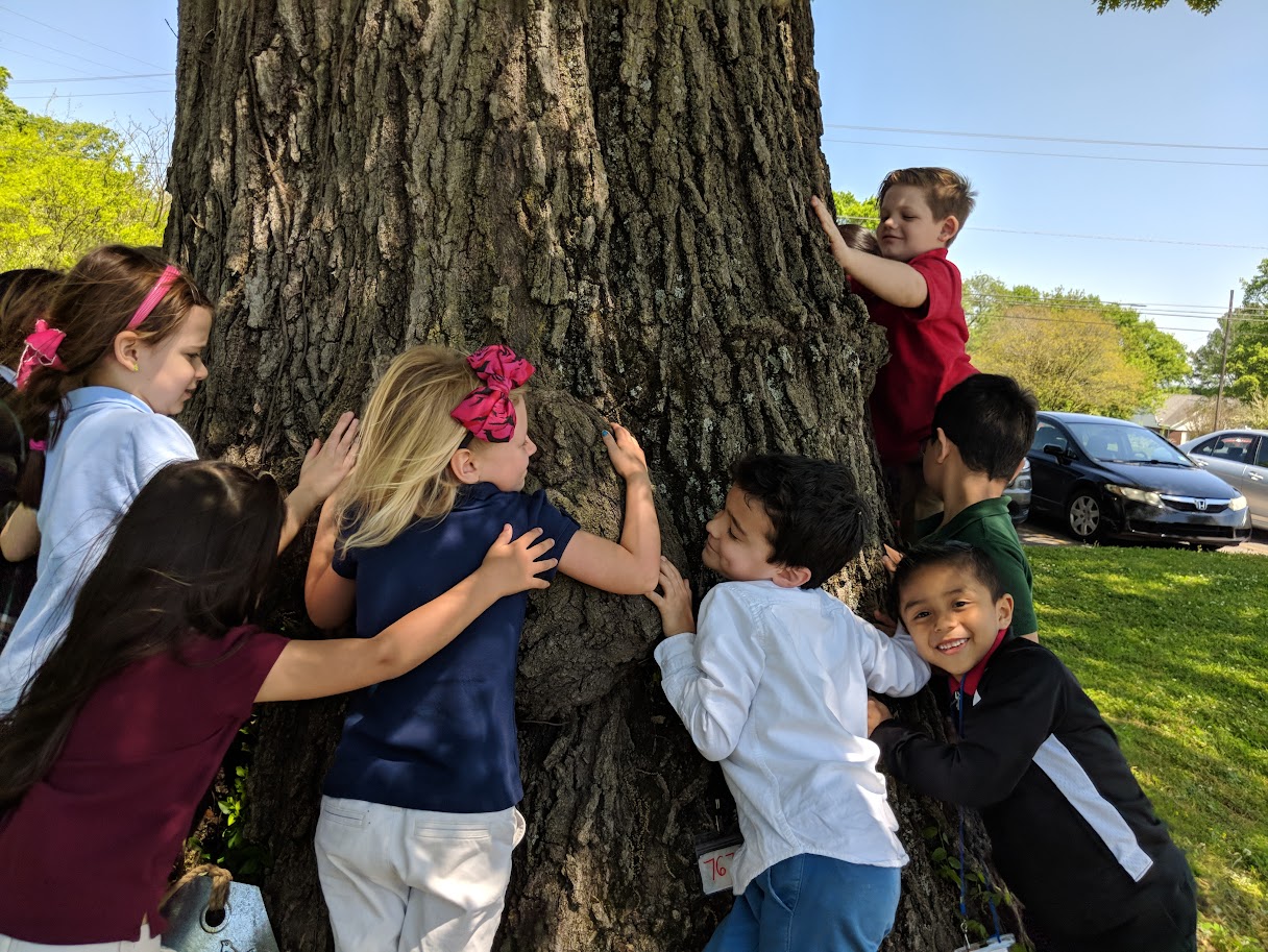 School Trees - Nashville Tree Foundation